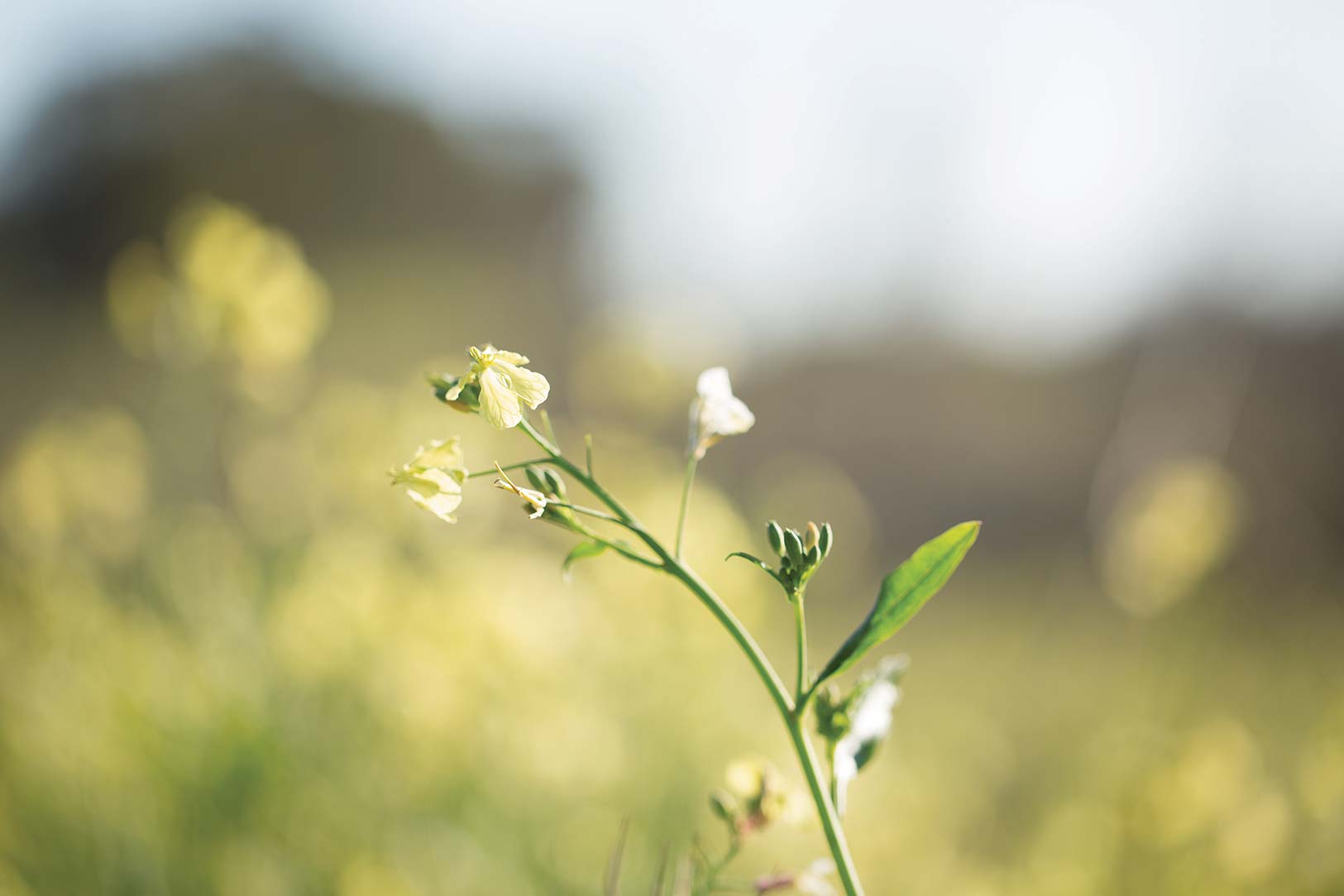 Our Complaints Process | Health Medical Scheme - Retail Medical Scheme