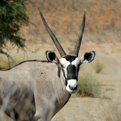 21 show-stopping South African tourist destinations - Retail Medical Scheme